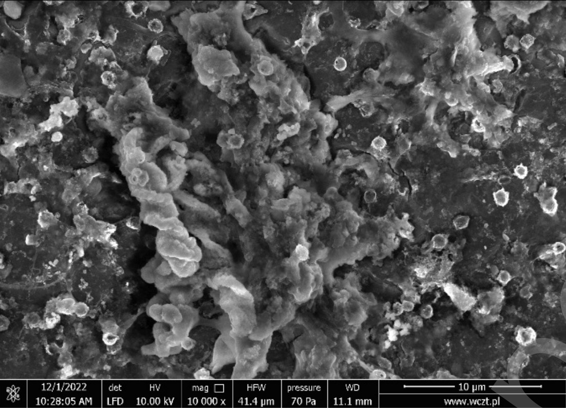 Plastic Pipes, Microplastics & Impacts on Human Health – Safe Piping ...